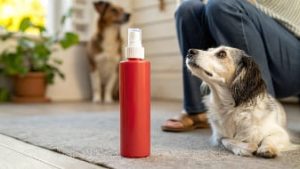 Pet Corrector Website - Premium Behavioral Training Tool